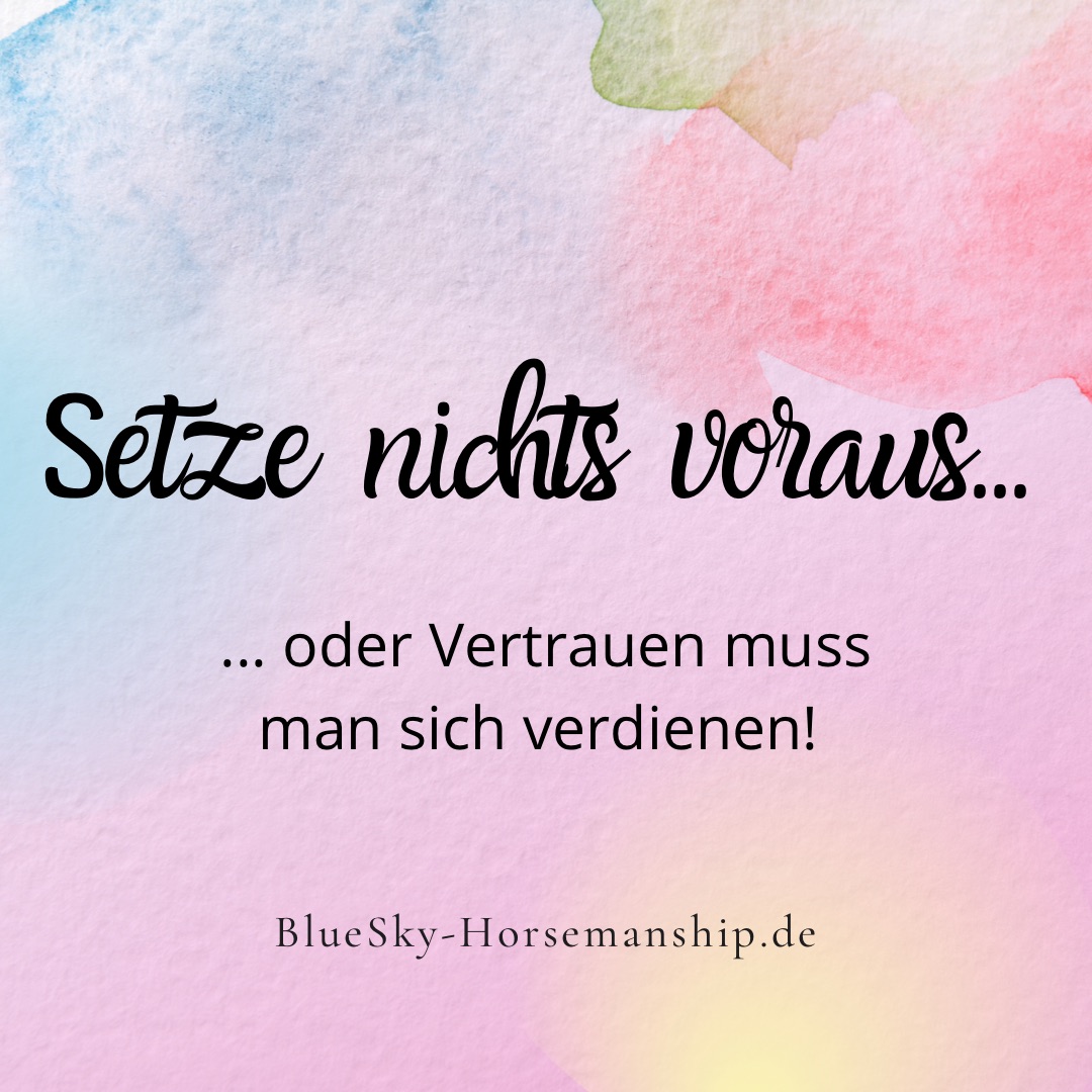Setze nichts voraus… – BlueSky Horsemanship